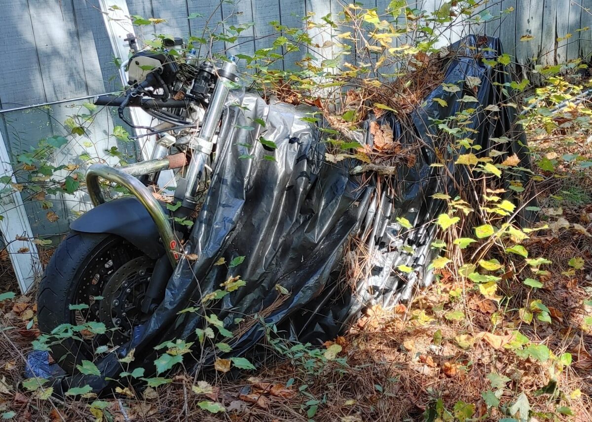 Racing was a model for my life – Bitser